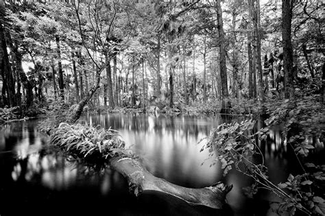 Clyde Butcher Black White Fine Art Photography Black White Fine