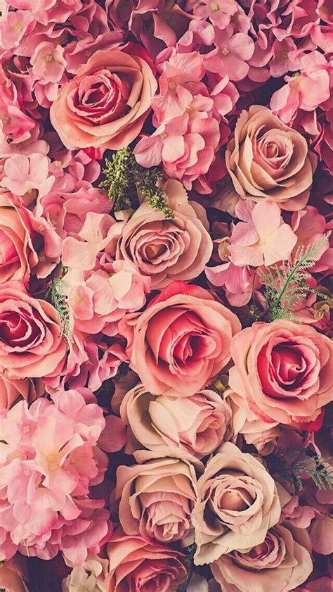 Top 47 Imagen Pastel Fondos De Pantalla De Flores Abzlocal Mx