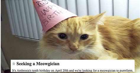 22 Weird Craigslist Posts That Prove People Are Pretty Messed Up