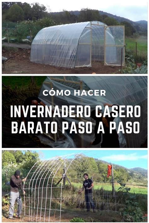 Monta Tu Propio Invernadero Casero Barato Paso A Paso