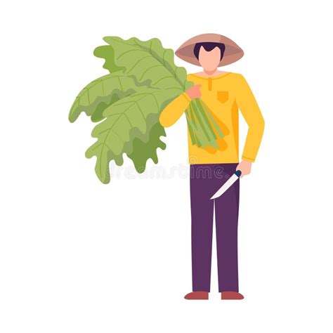 Asian Male Farmer Holding Green Leaves As Agricultural Crop Vector