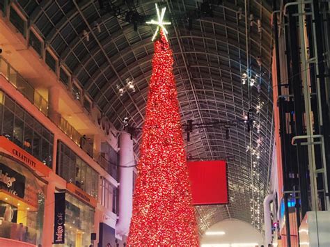 10 Cosas Que Ver Y Hacer En Toronto En Navidad Hellotickets