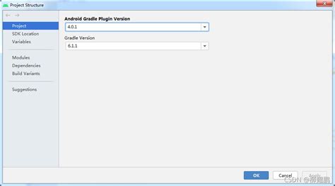 Could Not Determine Java Version From Csdn