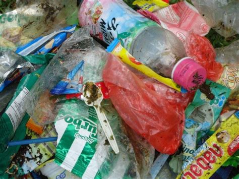 3 Jenis Limbah Organik Lengkap Dengan Cara Pengolahannya Riset