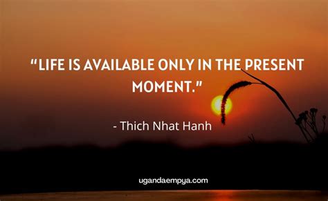 107 Thich Nhat Hanh Quotes To Inspire You