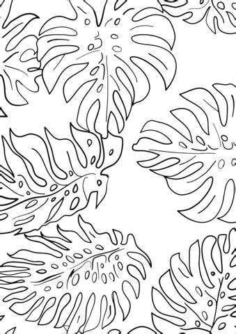 Monstera Leaf Outline Png Monstera Delicosa Plant Leaves Continuous