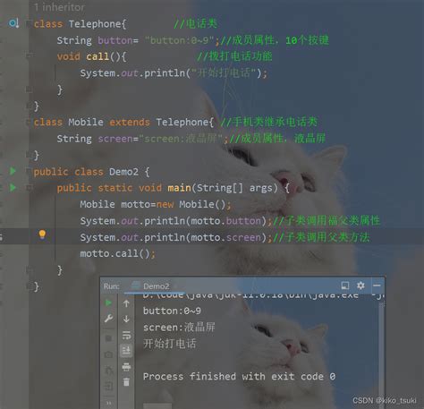 java的继承、多态、抽象类和接口 继承 实现 父子类 接口 多态 csdn博客