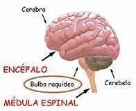 Changing The Way You Learn Mind Map