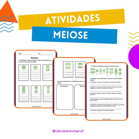 Atividade Sobre Meiose Loja Atividades Pedag Gicas Clarissa Neves