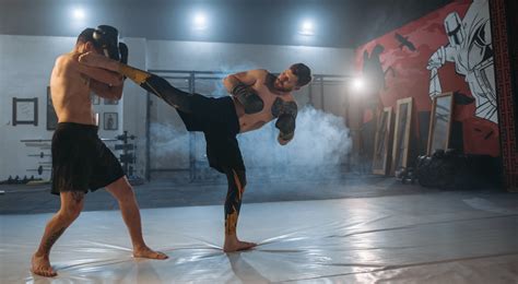 As Artes Marciais Mistas