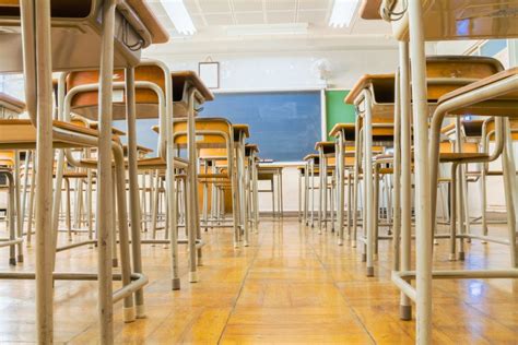 Trieste Edilizia Scolastica Interventi In 23 Scuole Per Oltre 2