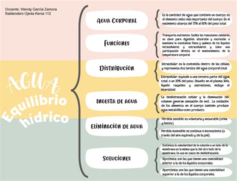 Cuadro Sinoptico Sobre Equilibrio Hidrico Bioquimica Y Fisiologia