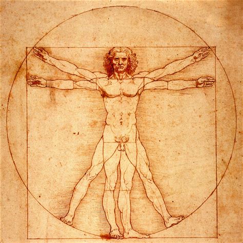 El Hombre De Vitruvio De Leonardo Da Vinci Da Vinci Vitruvian Man