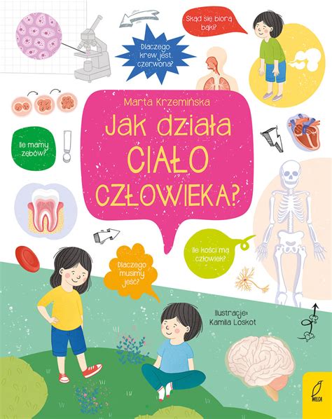 Jak działa ciało człowieka Co i jak Prasa Sklep EMPIK
