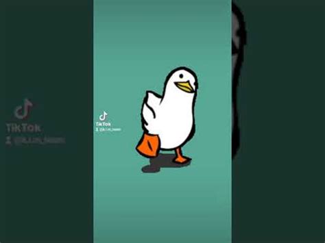 Le Canard De Tiktok Youtube
