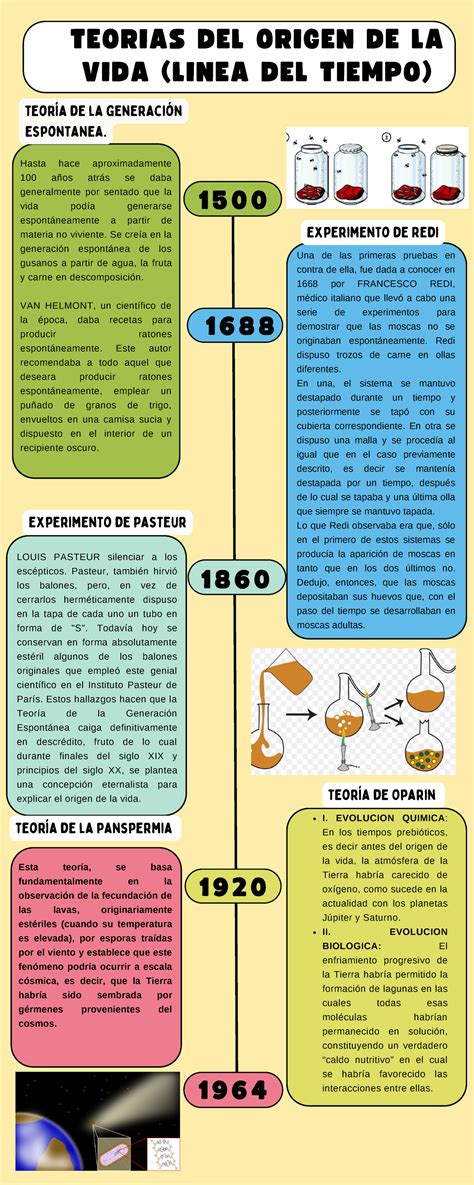 Linea Del Tiempo El Origen De La Vida Image To U
