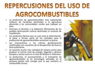 Agrocombustibles Y Serguridad Alimentaria 1 PPT