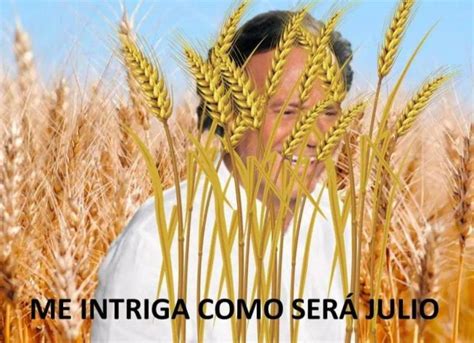Llegó el mes de julio con los mejores memes que inundan las redes sociales