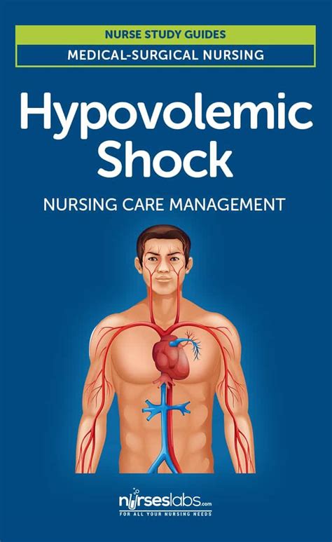 Hypovolemic Shock Nursing Care Management And Study Guide Nursing