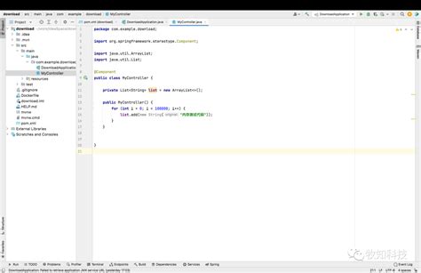 java内存占用过高问题分析