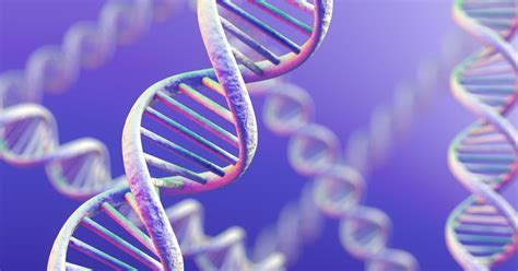 Reflexões Sobre o Invisível Cientistas revelam DNA possui funções