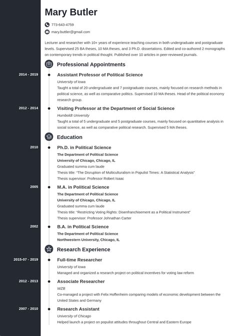 Professor CV Example Template Writing Guide 20 Tips