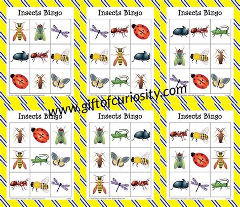 Insect Bingo Free Printable