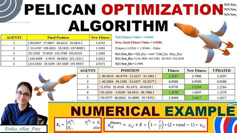poa numerical example pelican optimization algorithm ~xray pixy youtube