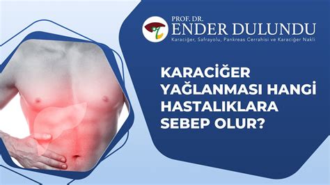 Karaciğer Yağlanması Hangi Hastalıklara Sebep Olur I Prof Dr Ender