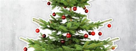 Actualit Ville De Niort Collecte Des Sapins De No L