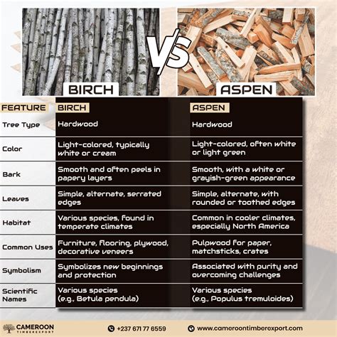 Aspen Vs Birch Who Reigns Supreme