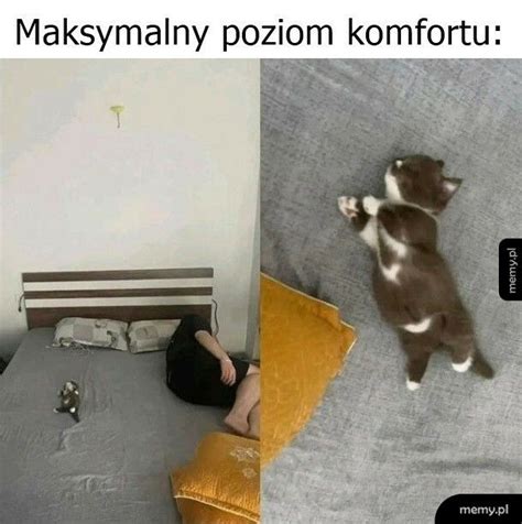 Eby Mi Si Chcia O Tak Jak Mi Si Nie Chce Memy Pl
