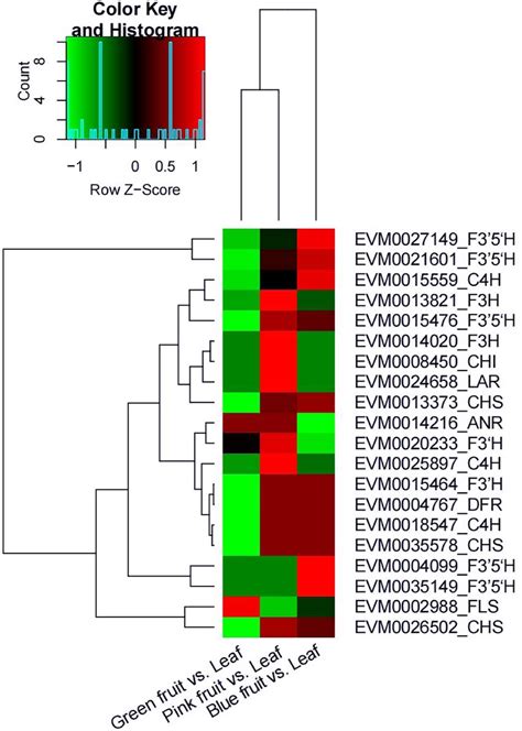 Heat Map Diagram Of The Expression Of Differently Expressed Genes