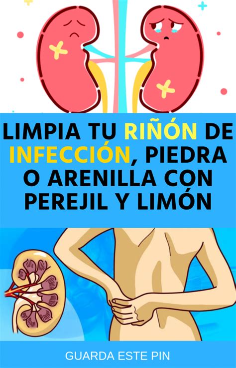 Limpia Tu Ri N De Infecci N Piedra O Arenilla Con Perejil Y Lim N