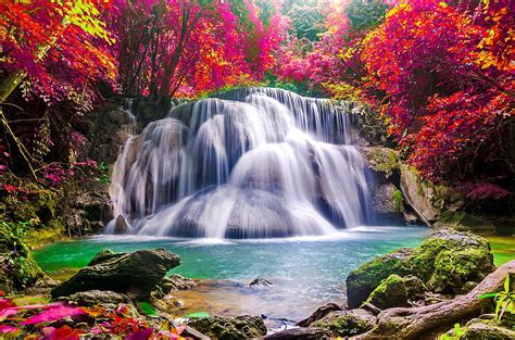 Beautiful Forest Wallpaper Hd