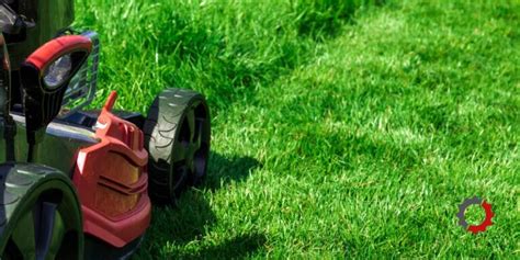 9 Reasons A Lawn Mower Is Cutting Uneven Bad Cut FIX IT Powered