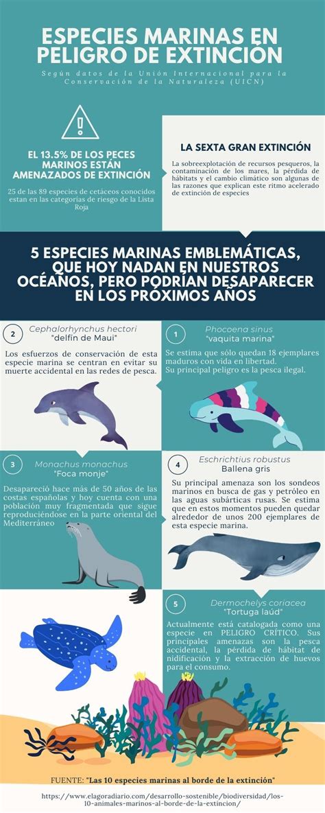 Especies marinas en peligro de extinción Marina Especies Animales