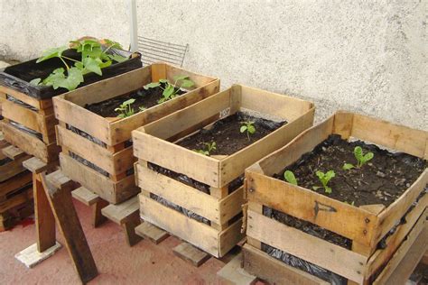 Pin en 菜園 Huerta en cajones Jardinería de hortalizas en macetas