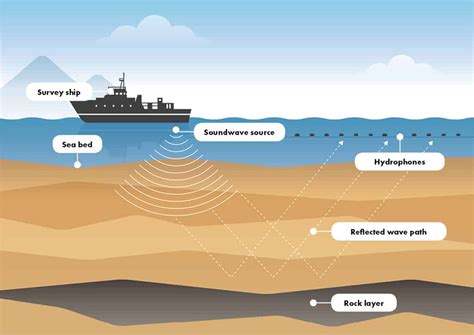 Marine Seismic Surveys What You Need To Know Australian Energy Producers