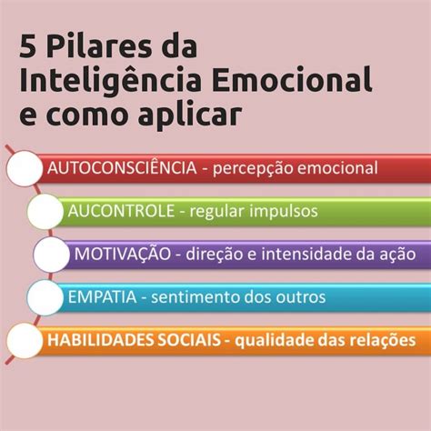 Pilares Da Intelig Ncia Emocional Lei Do Universo