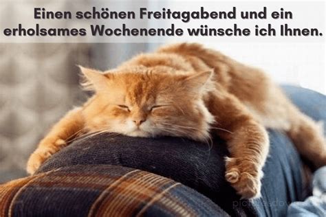Schönes wochenende bild kostenlos Katze auf dem Sofa