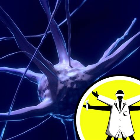 Nerve Interfaces And Infrared Fossil Finding The Naked Scientists