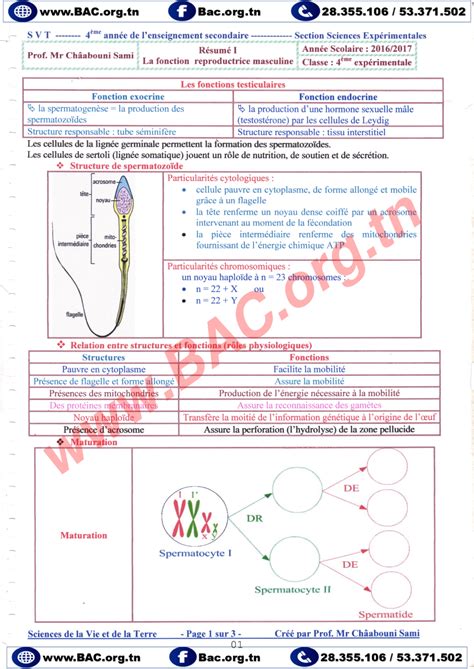 Résumés Sciences Toute lannée BAC Sciences Exp 2023 Bac Tunisie 2023