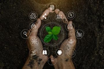 ISO 14001 Guia Completo Para Empresas Que Buscam Sustentabilidade