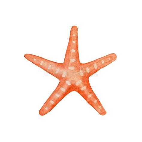 Estrela Do Mar Pintada Pintura Azul Brilhante No Fundo Branco