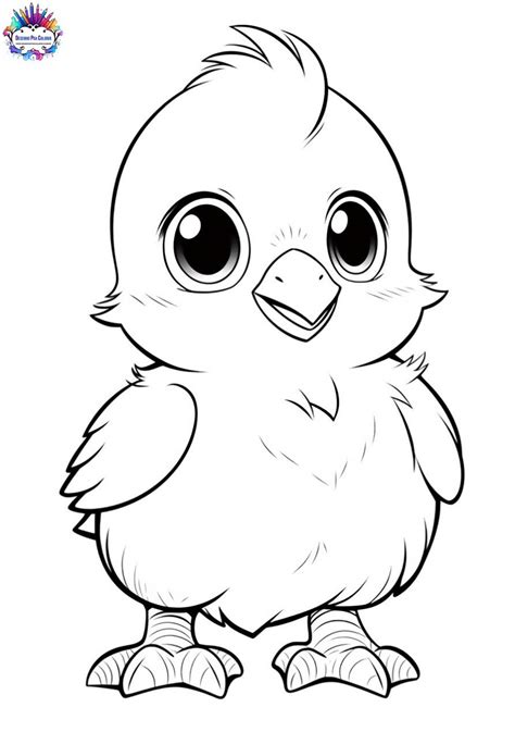 Desenho De Animais Para Colorir De Pintinho