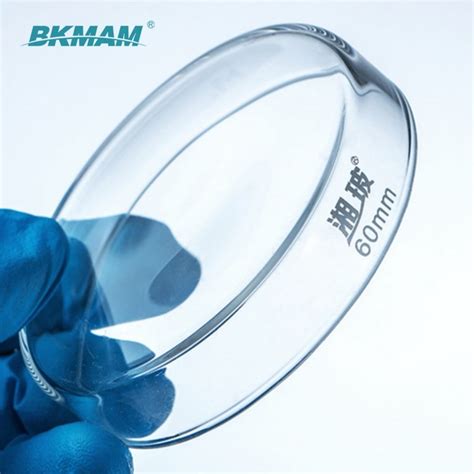 Laboratory Reusable Borosilicate Glass Petri Dish With Lid Dia 60 To