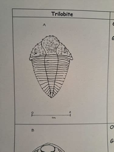 Geology Entire Flashcards Quizlet