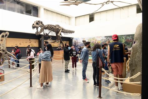 Cumple Museo Universum tres décadas de trascender fronteras y conjuntar