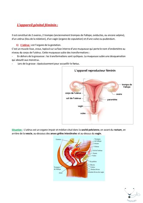 Calaméo Appareil Génital Femme